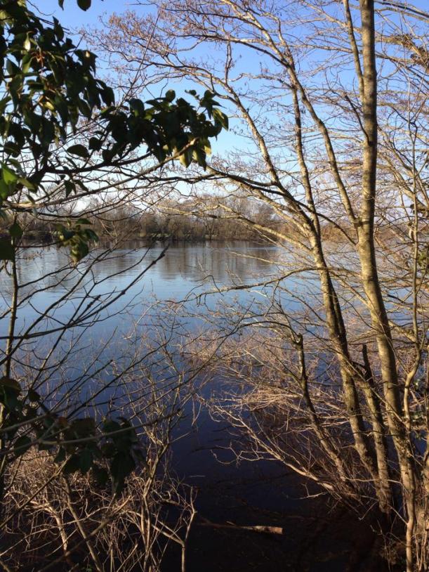The River Shannon Project | The Irish in America
